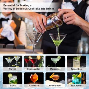 CasaCulina Cocktail Shaker Set Mixology Bartender Kit with Stand, 17 Piece Bar Tool Set: Martini Shaker, Jigger, Strainer, Mixer Spoon, Muddler, Liquor Pourers for Drink Mixing Bartending Kit(Silver)