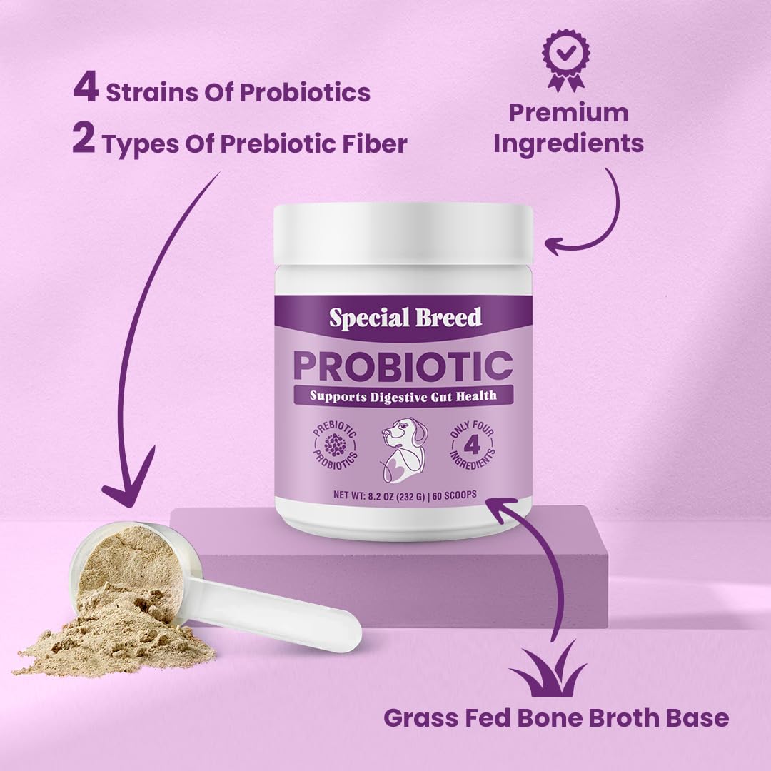 Special Breed Probiotic Powder for Dogs - Probiotics Digestive Supplement with Bone Broth for Your Dog, Supports Healthy Pet Digestion, 8.2 oz