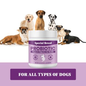 Special Breed Probiotic Powder for Dogs - Probiotics Digestive Supplement with Bone Broth for Your Dog, Supports Healthy Pet Digestion, 8.2 oz