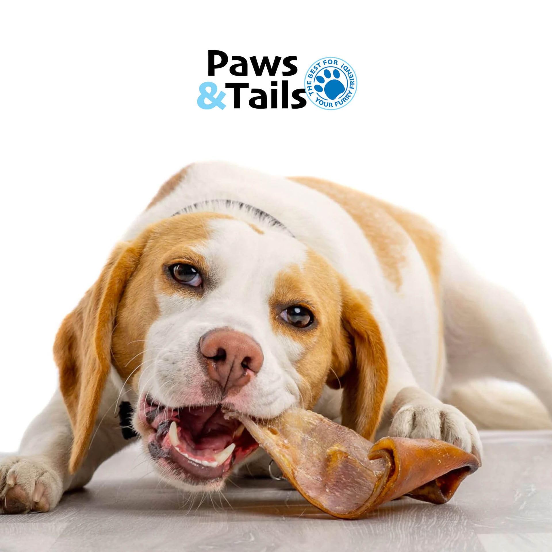 PAWS&TAILS Premium All-Natural Pig Ears for Dogs - Joint Health Support, Thick-Cut - High-Protein, Low-Fat Treats for Dental Hygiene - No Additives or Preservatives. (12, Natural Whole Pig Ears)