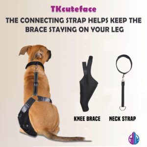 Tkcuteface Dog Knee Brace for ACL, Knee Cap Dislocation, Arthritis - Full Wrap - Easy Adjustable - Extra Support - Reduces Pain and Inflammation – Full Sizes (Large), Black