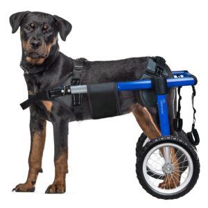 virbraroo large dog wheelchair for back legs, upgraded all-terrain tires & durable bearings, dog wheelchair for 19.6"-29.5", 88.1-132.2 lbs disabled or injured large dogs (double extra large)