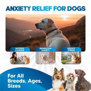 Dog Anxiety Relief - Faster Absorption Than Hemp Calming Chews for Dogs - Dog Calming Chews Alternative - Hemp Oil and Melatonin for Dogs - Liquid Dog Calming Treats for Thunder, Fireworks, Sleep Aid