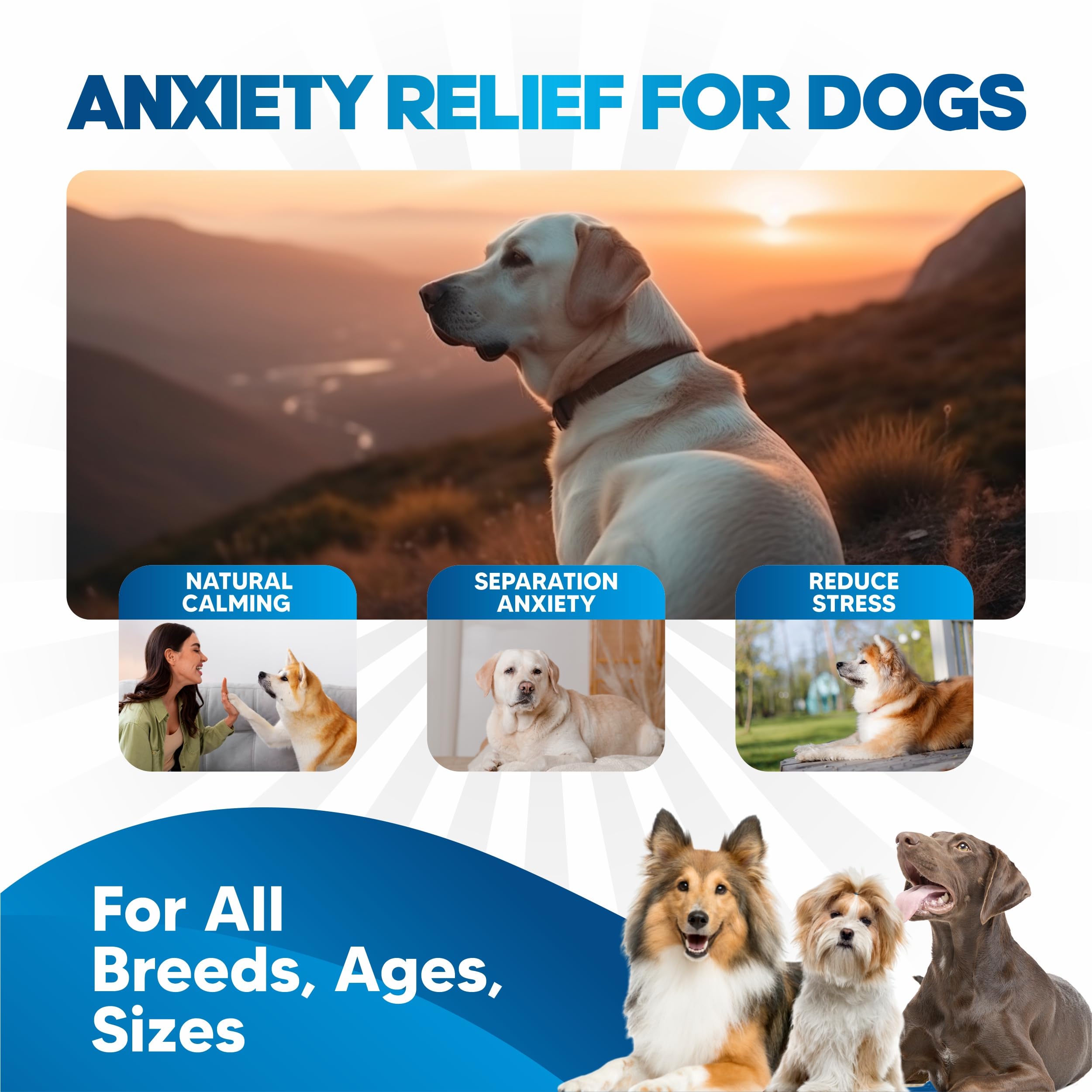 Dog Anxiety Relief - Faster Absorption Than Hemp Calming Chews for Dogs - Dog Calming Chews Alternative - Hemp Oil and Melatonin for Dogs - Liquid Dog Calming Treats for Thunder, Fireworks, Sleep Aid