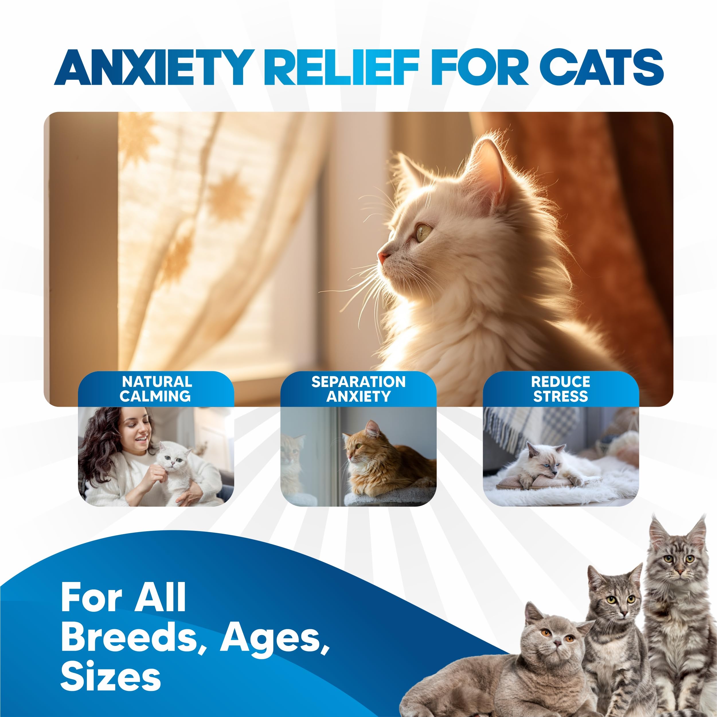 Cat Anxiety Relief 90 Day Supply - Faster Absorption Than Cat Calming Treats - Cat Calming Products for All Ages - Liquid Calming Cat Treats for Sleep Aid - 8 Ingredient Blend + Cat Melatonin