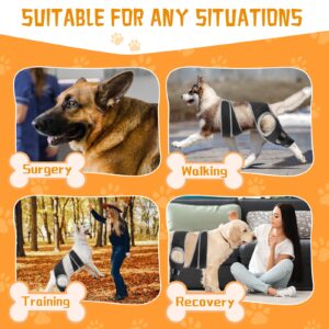 Dog ACL Knee Leg Brace, Dog Hip Brace for Front Torn and Back ACL Hind Rear Legs, Comfortable & Adjustable Tailwind Dog Hip Dysplasia Brace for Dog Arthritis, Luxating Patella with 10X Support (XL)