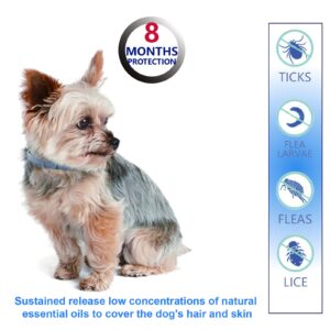 Natural Ingredients Flea Repellent Collar for Small Dogs, Safe and Effective Flea and Tick Repellent, Waterproof, 8 Months Protection per Collar, Free Comb, 13.8 Inches, 2-Pack