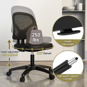 Armless Mesh Small Home Office Computer Desk Chair Without Arms with Lumber Support and Adjustable Height for Child and Adult