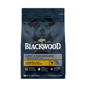 blackwood puppy & performance dry dog food, chicken meal with ancient grains, 4.5 pound bag for growing & working dogs, supports active lifestyle