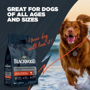 Blackwood Complete & Balanced Diet Dry Dog Food, Lamb Meal & Chicken Meal with Ancient Grains, 4.5 Pound Bag, Slow Cooked with Vitamins & Minerals