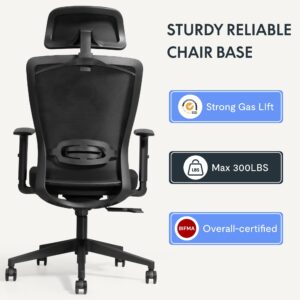 FLEXISPOT Comfy Office Chair, 300LBS Heavy Duty Computer Chair, Big and Tall Office Chair, Home Office Desk Chairs with Wide Thick Seat Cushion Adjustable Ergo Back Support Clothes Hanger OC3-N Black