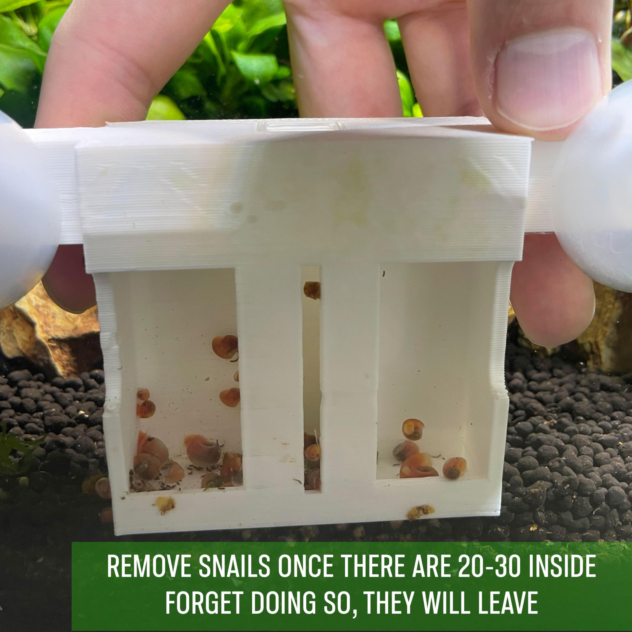 3DAquaticSolutions Snail Trap for Aquarium, Pest Snails Catcher Overnight, Leave Trap in Your Tank with Foods to Attract Snail, Easy to Use and Effective