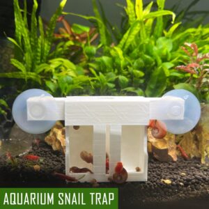 3DAquaticSolutions Snail Trap for Aquarium, Pest Snails Catcher Overnight, Leave Trap in Your Tank with Foods to Attract Snail, Easy to Use and Effective