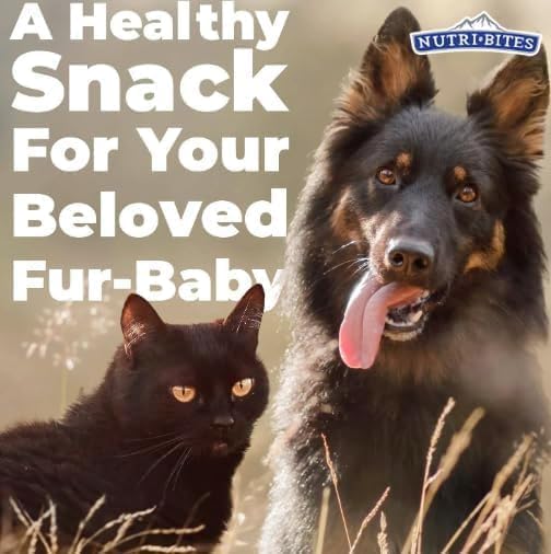 (Pack of 3) NutriBites Freeze Dried Liver Treats for Dogs & Cats - High-Protein Single Ingredient Freeze Dried Dog Treats, Beef Liver - Grain Free, Easy to Digest - Proudly Made in Canada - 17.6oz