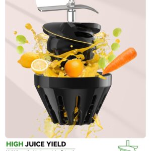 ACOQOOS Juicer Machines, Cold Press Juicer Whole Fruit and Vegetable with 4.3" Feeding Chute, Easy to Clean Juicers with 2 Cups, Masticating Juicer Black