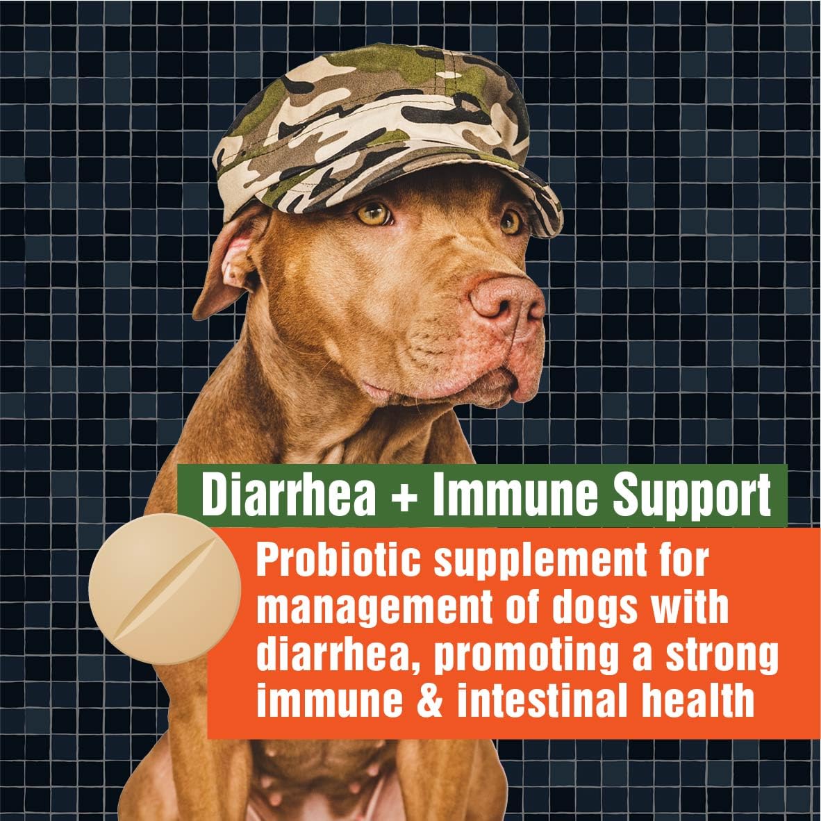 Canine Probiotics for Dogs Diarrhea Relief Flora & Immune Support – “Army Soldier Owned” Veterinary Dog Probiotics for Digestive Health, Firmer Stools & Sensitive Stomach, 60 Yummy Tablets (Pack of 2)