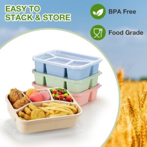 Qipecedm 4 Pack Bento Lunch Box, 4 Compartment Wheat Straw Meal Prep Containers for Kids/Toddle/Adults, BPA Free Reusable Food Snack Storage Containers, Durable Bento Box for School, Work and Travel