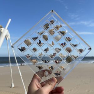 xronslute large acrylic magnetic seashell display box,diy seashell display box,clear storage box for seashell,gemstones,nail,jewelry (1pc 36 grids large)