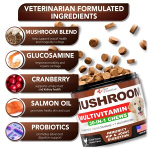 Mushroom for Dogs - 170 Chews - Turkey Tail Mushroom for Dogs - Mushroom Supplement for Dogs - Lions Mane - Reishi - Immunity Support Multivitamin - Joint Health - Energy - Gut - Skin - Dog Vitamins