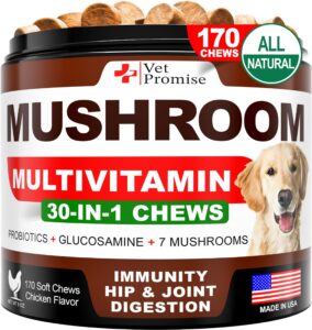 mushroom for dogs - 170 chews - turkey tail mushroom for dogs - mushroom supplement for dogs - lions mane - reishi - immunity support multivitamin - joint health - energy - gut - skin - dog vitamins