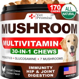 Mushroom for Dogs - 170 Chews - Turkey Tail Mushroom for Dogs - Mushroom Supplement for Dogs - Lions Mane - Reishi - Immunity Support Multivitamin - Joint Health - Energy - Gut - Skin - Dog Vitamins