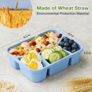 Qipecedm 4 Pack Bento Lunch Box, 4 Compartment Wheat Straw Meal Prep Containers for Kids/Toddle/Adults, BPA Free Reusable Food Snack Storage Containers, Durable Bento Box for School, Work and Travel