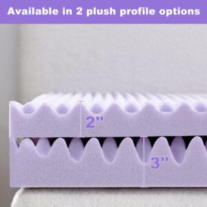 NAP&SLEEP Lavender Infused Dual-Sided Mattress Topper - Available in Twin, Full, Queen, King Sizes, 2" or 3" Thickness, Made in USA, Convoluted & Flat Foam, Compressed & Roll Packed (King, 3" Inch)