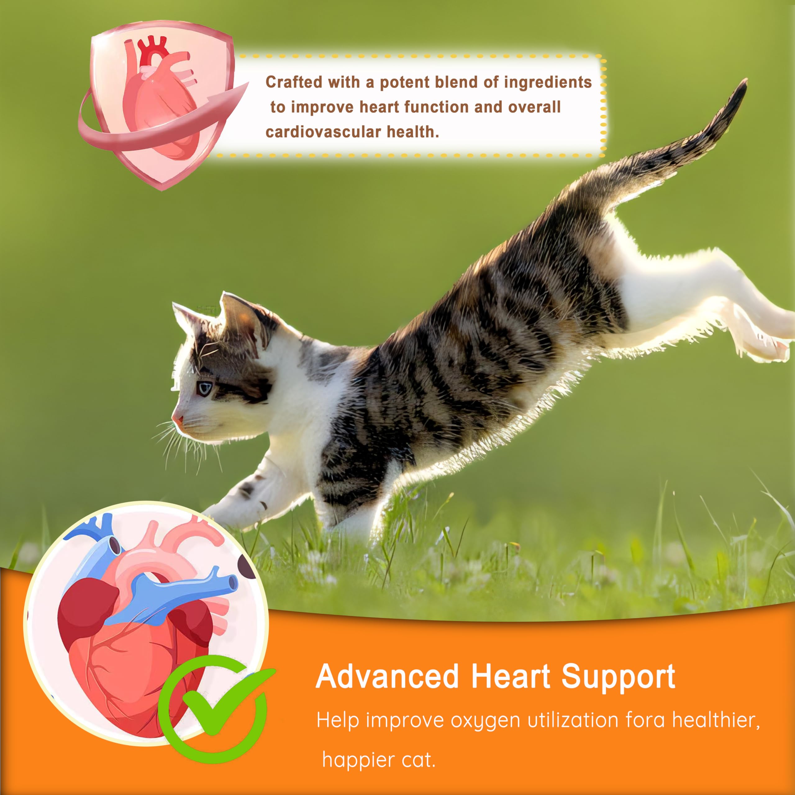 Munchy Chomps Cardio Chews for Cats - Advanced Cardiovascular Care - Heart Health & Circulation Support with Salmon Oil, Taurine, CoQ10 & More - Feline Supplement for Optimal Cardiac Function (Bacon)