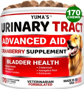 dog uti treatment - 170 treats - cranberry supplement for dogs - bladder control for dogs - dog urinary tract infection treatment - uti medicine for dogs multivitamin - dog vitamins and supplements