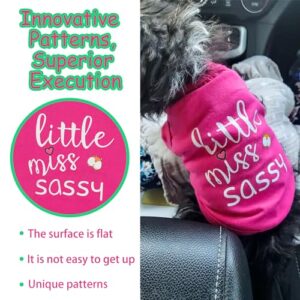 Paiaite Dog Clothes Fashionable Sleeveless Pet Vest: 'Little Miss Sassy' Printed Cotton Dog Shirt, Ideal for Small, Medium, and Large Breeds, Ensuring Comfort and Breathability Rose Red XS