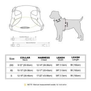 Didog No Pull Dog Harness- Adjustable Lightweight Small Harness Collar and Leash Set, Suitable for Cats Puppies Small Dogs Outdoor Training and Running (Pink, XXS)