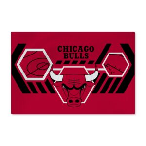 northwest nba chicago bulls washable rug, 20" x 32", agile