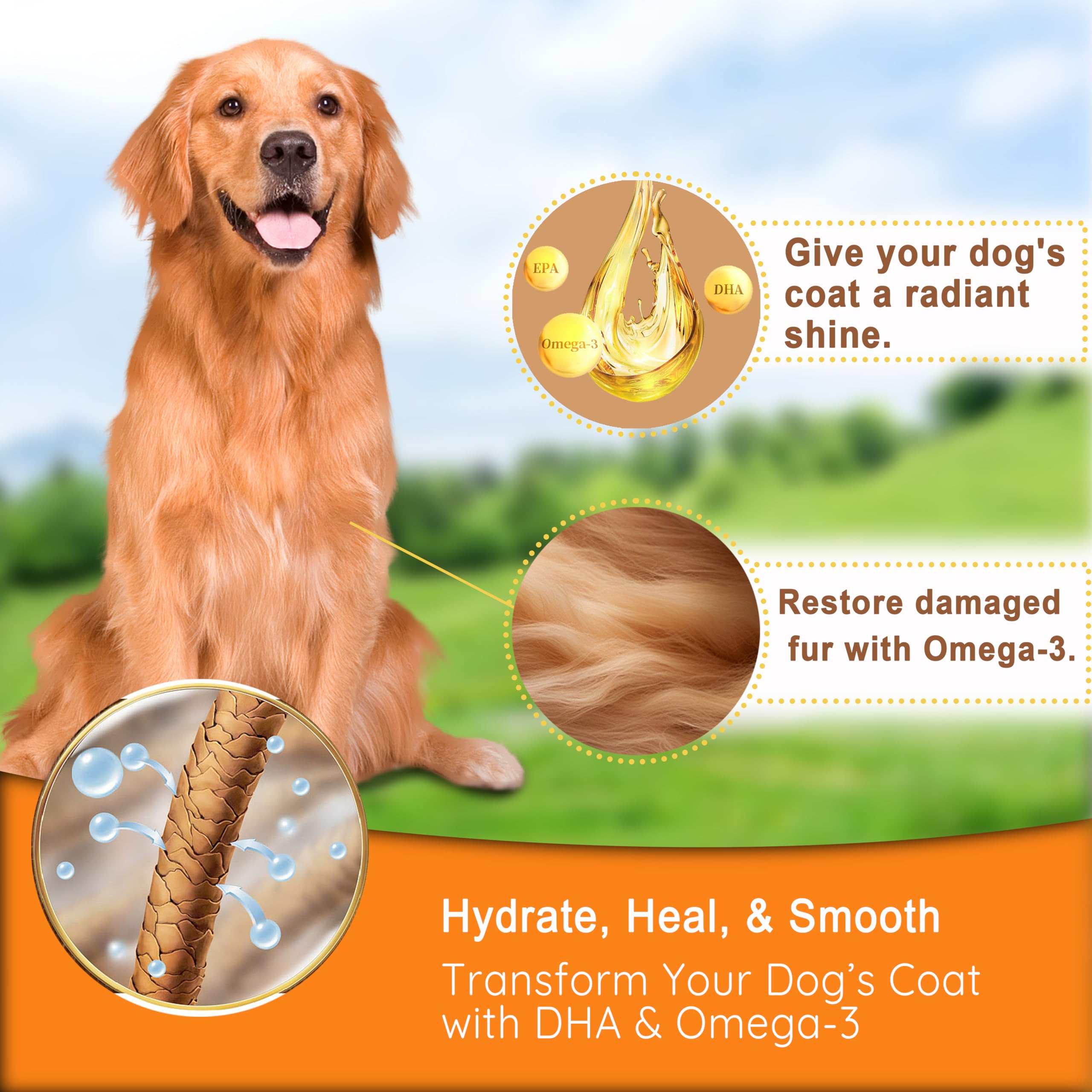 Munchy Chomps Salmon Oil for Dogs - Coat Health & Immunity Boost with Omega 3 Fatty Acids & Antioxidants - Promotes Radiant Coat & Skin Protection (Chicken)