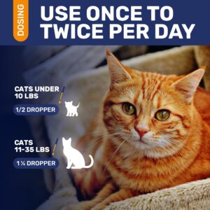 Cat Antibiotic ◆ Antibiotics for Cats ◆ Natural Antibiotics for Cats with Turkey Flavor ◆ Cat Antibiotics ◆ Antibiotic for Cats ◆ Pet Antibiotic ◆ 2 Oz