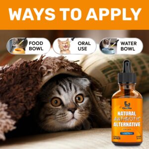 Cat Antibiotic ◆ Antibiotics for Cats ◆ Natural Antibiotics for Cats with Turkey Flavor ◆ Cat Antibiotics ◆ Antibiotic for Cats ◆ Pet Antibiotic ◆ 2 Oz