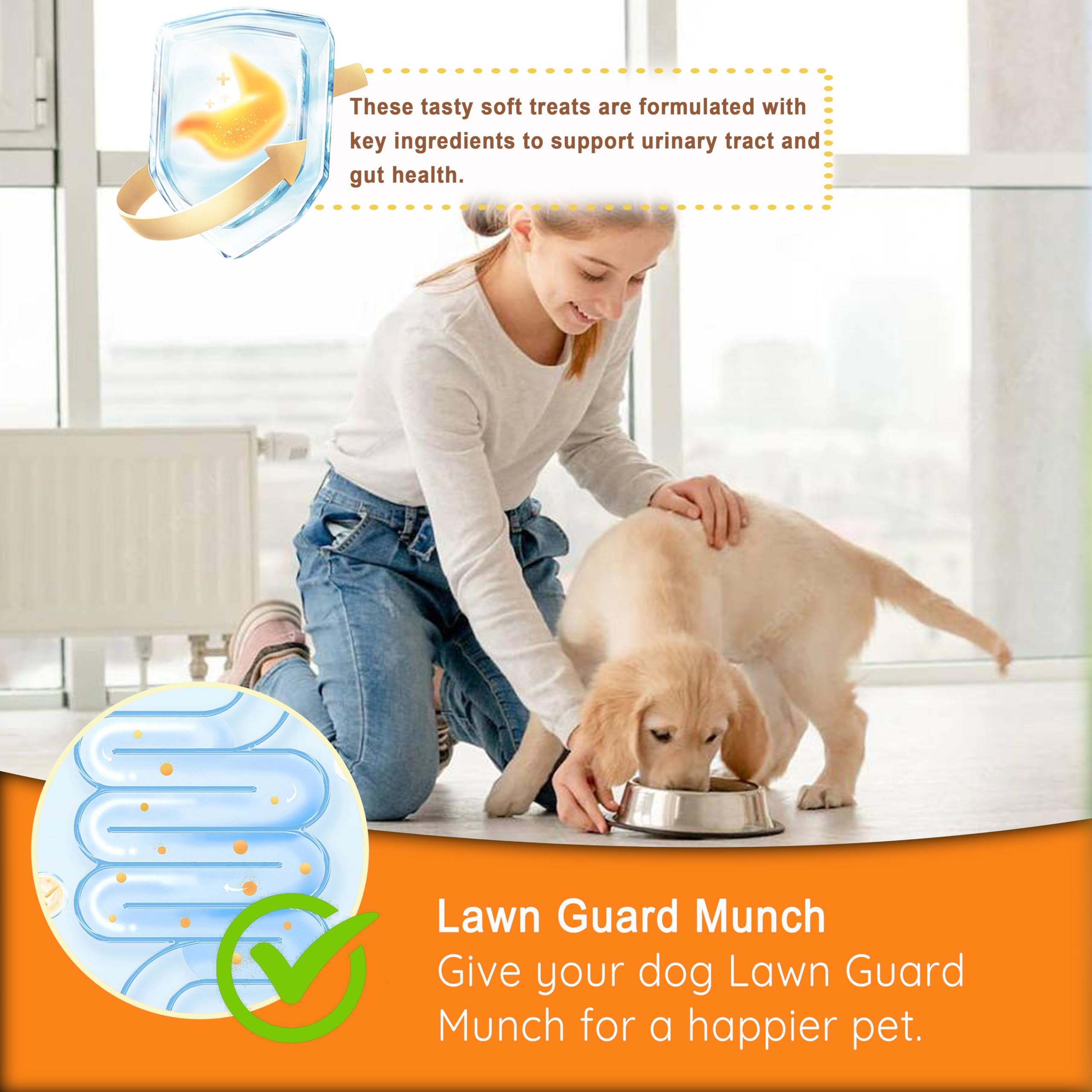 Munchy Chomps Lawn Guard Munch for Dogs - Supports Urinary Tract & Gut Health - Prevents Yellow Spots on Grass - with DL-Methionine, Fiber & Probiotics (Cranberry)