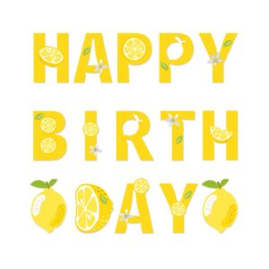 BHNACIER Lemon Banner Lemon Happy Birthday Banner Lemonade Birthday Party Banner Lemon Party Decoration Lemonade Happy Birthday Sign for Summer Fruit Birthday Party Lemon Theme Bridal Shower Supplies