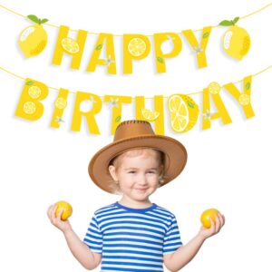 BHNACIER Lemon Banner Lemon Happy Birthday Banner Lemonade Birthday Party Banner Lemon Party Decoration Lemonade Happy Birthday Sign for Summer Fruit Birthday Party Lemon Theme Bridal Shower Supplies