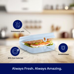 Tupperware Sandwich Keeper 2-Container Set - Dishwasher Safe & BPA Free Container (2 Hinged Containers)