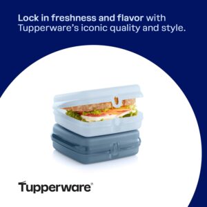 Tupperware Sandwich Keeper 2-Container Set - Dishwasher Safe & BPA Free Container (2 Hinged Containers)