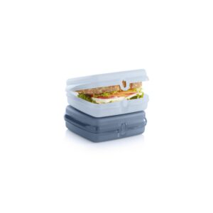 tupperware sandwich keeper 2-container set - dishwasher safe & bpa free container (2 hinged containers)