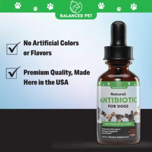 Natural Antibiotics for Dogs - Dog Antibiotics - Dog Itch Relief - Yeast Infection Treatment for Dogs - Dog Antibiotic - Dog Ear Infection Treatment - Pet Antibiotics - Antibiotic for Dogs - 1 oz