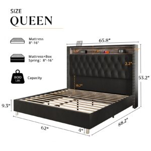 Jocisland Queen Size Bed Frame 53.6'' Tall Headboard LED Lights and Charging Station, Velvet High Upholstered Platform Bed Wingback Storage, No Box Spring Needed, No Motion Light Under Bed, Black