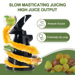 Slow Masticating Machines With Exclusive Filter Technology for High Juice Yield & Easy Clean,4.2'' Extra Large Feed Chute Cold Press Juicer Machine Fit Whole Fruits Vegetables,Silver Grey