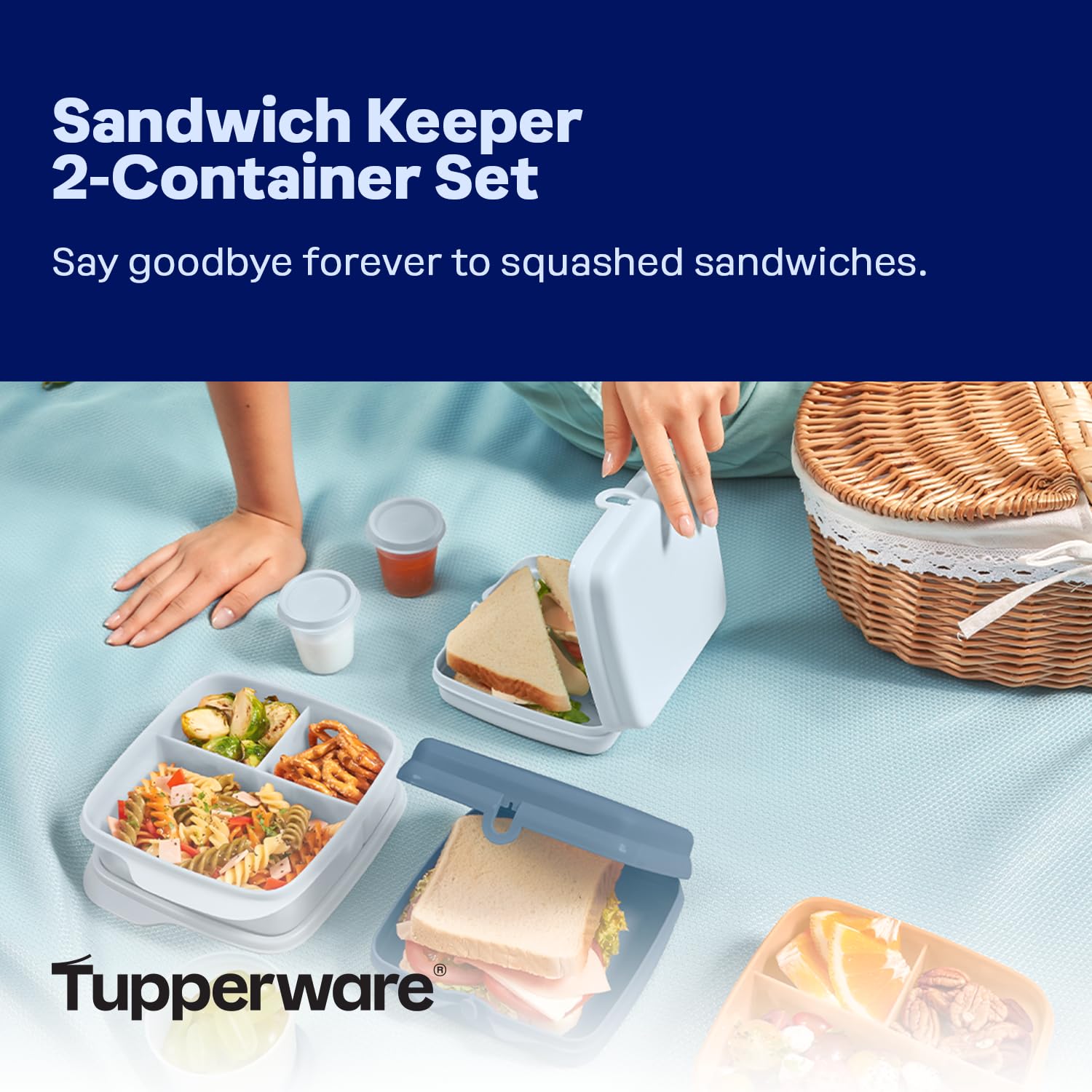 Tupperware Sandwich Keeper 2-Container Set - Dishwasher Safe & BPA Free Container (2 Hinged Containers)