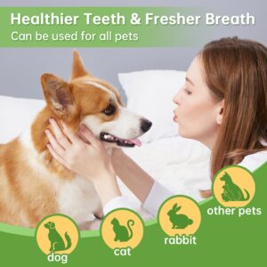 Ancopaws Teeth Cleaning for Dogs & Cats - Dental Care Finger Wipes to Remove Bad Breath - Pet Toothbrush Plaque and Tartar Remover - Tooth Brushing Kit (50 Count)