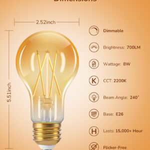 EDISHINE Vintage LED Edison Bulbs 8W, 60W Equivalent, 2200K Amber Warm Light, ST58 Antique Edison Light Bulb with 80+ CRI, A19 Dimmable Light Bulbs, 700LM, E26 Medium Base, 6 Pack