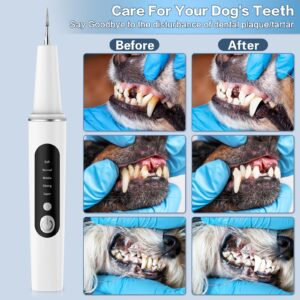 TESECU Dog Plaque Remover for Teeth, Dog Tooth Brushing Kit for Tartar, 5 Modes Pet Dog Teeth Cleaning, Dog Pet Puppy Dental Toothbrush Tool, Pet Teeth Cleaning Suitable for Dog/Cat