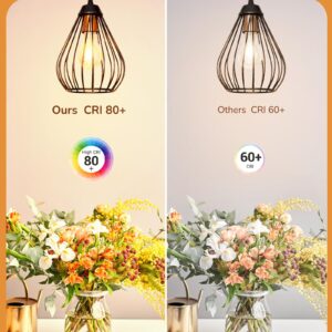 EDISHINE Vintage LED Edison Bulbs 8W, 60W Equivalent, 2200K Amber Warm Light, ST58 Antique Edison Light Bulb with 80+ CRI, A19 Dimmable Light Bulbs, 700LM, E26 Medium Base, 6 Pack