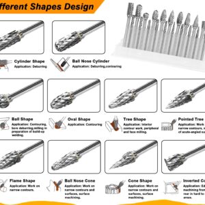 CAROTUPY Tungsten Carbide Burr Set 1/8" Shank，Die Grinder Bits with Sanding Drums and Cutting Wheel Set, 195Pcs Pratical Sanding Bits Kit for Metal, Wood, Plastic, Glass